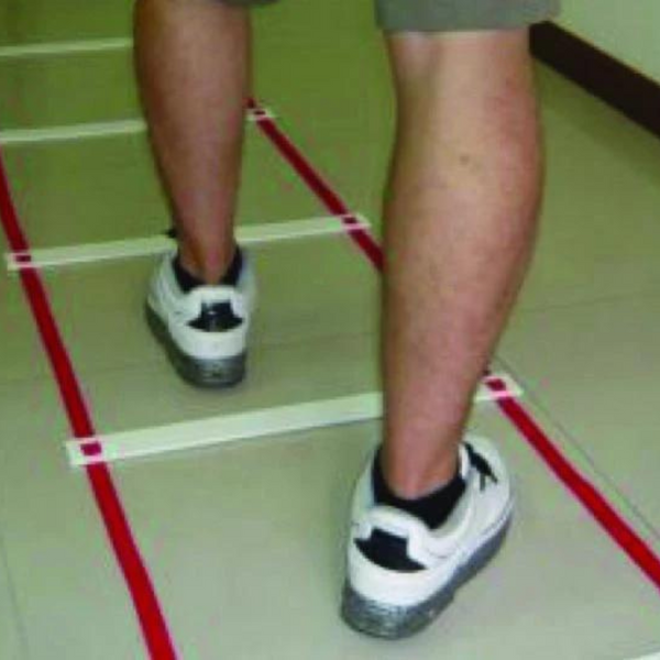 SPEED LADDER - 19" - ADJUSTABLE W/BAG – Draft Pick Fanwear